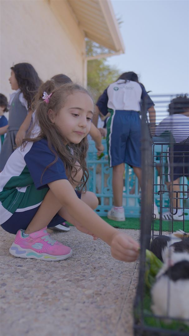 KG Petting Zoo (AY24-25) - The International School of Choueifat — Amman